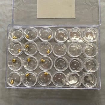 Induction Solutions Nitrous Oxide Systems | The World's Fastest Nitrous ...